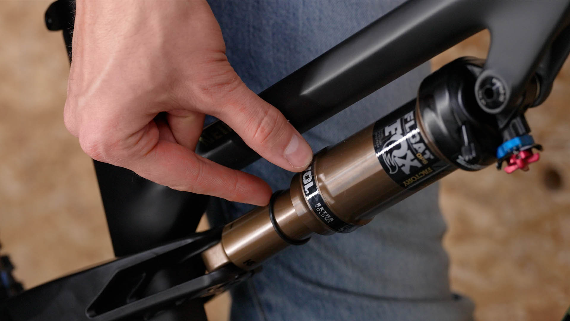 Neuron CF 支持服务 | CANYON CN